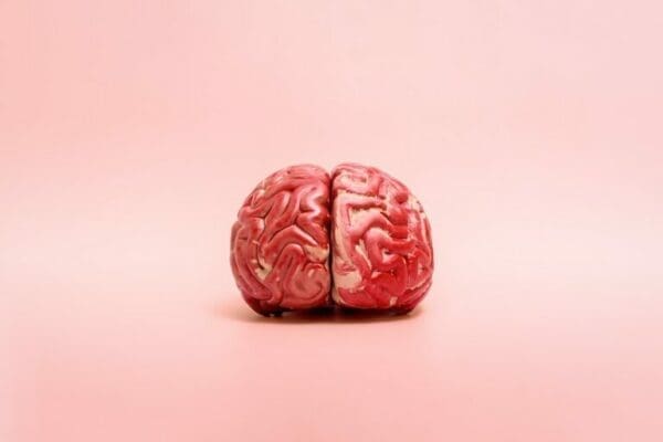Spaced Repetition Schedule is the Key to Changing Behaviours