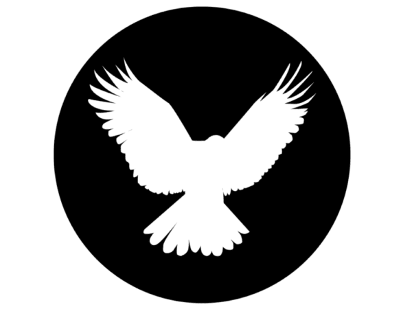 Be Your Eagle Planner: Improve +1% Productivity Each Week